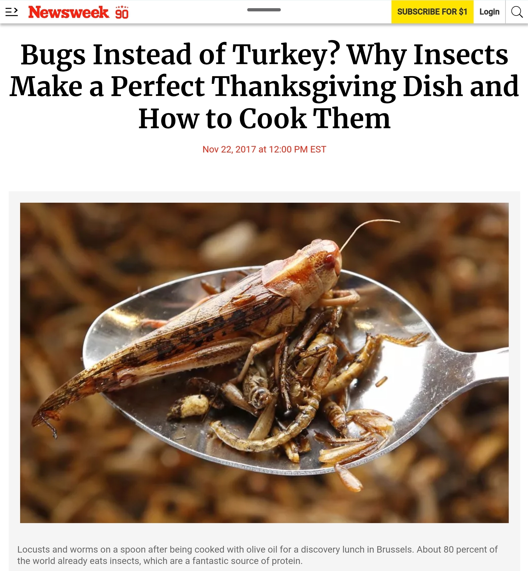 Newsweek: Bugs Instead of Turkey? Why Insects Make a Perfect ...