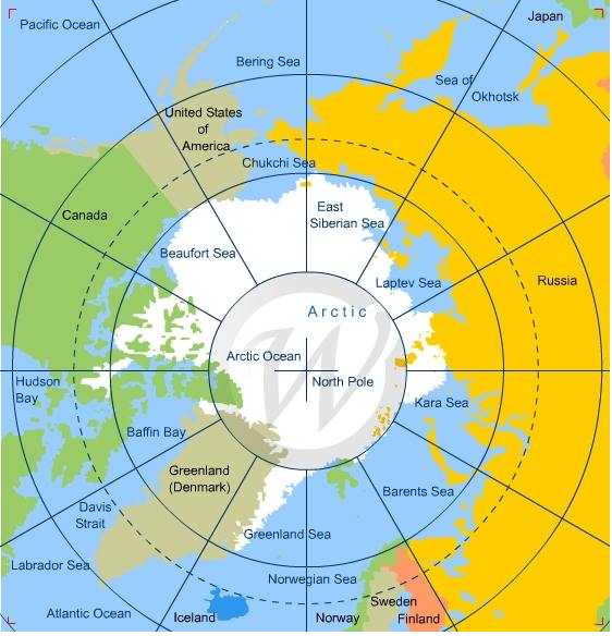 COP28 Triggers Leap in Arctic Ice – ‘Remarkable growth of Arctic ice ...