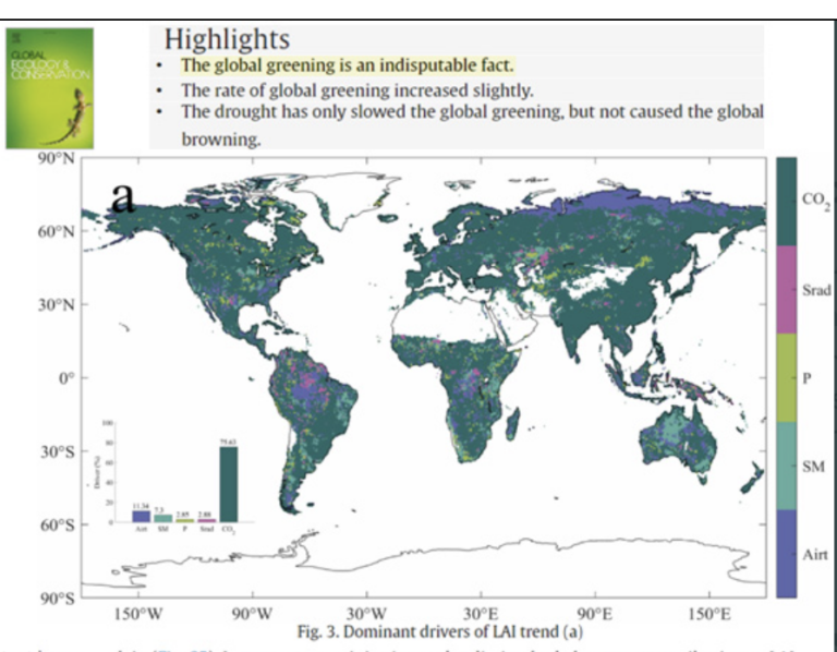 Study: ‘Global greening is an indisputable fact…the rate of global ...