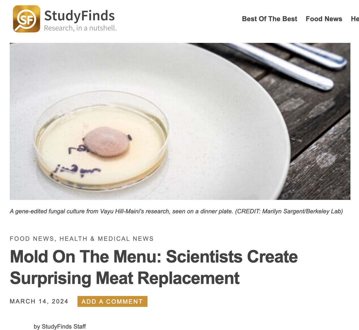 Mold On The Menu: Scientists Alter Fungi Genes To Create Surprising ...
