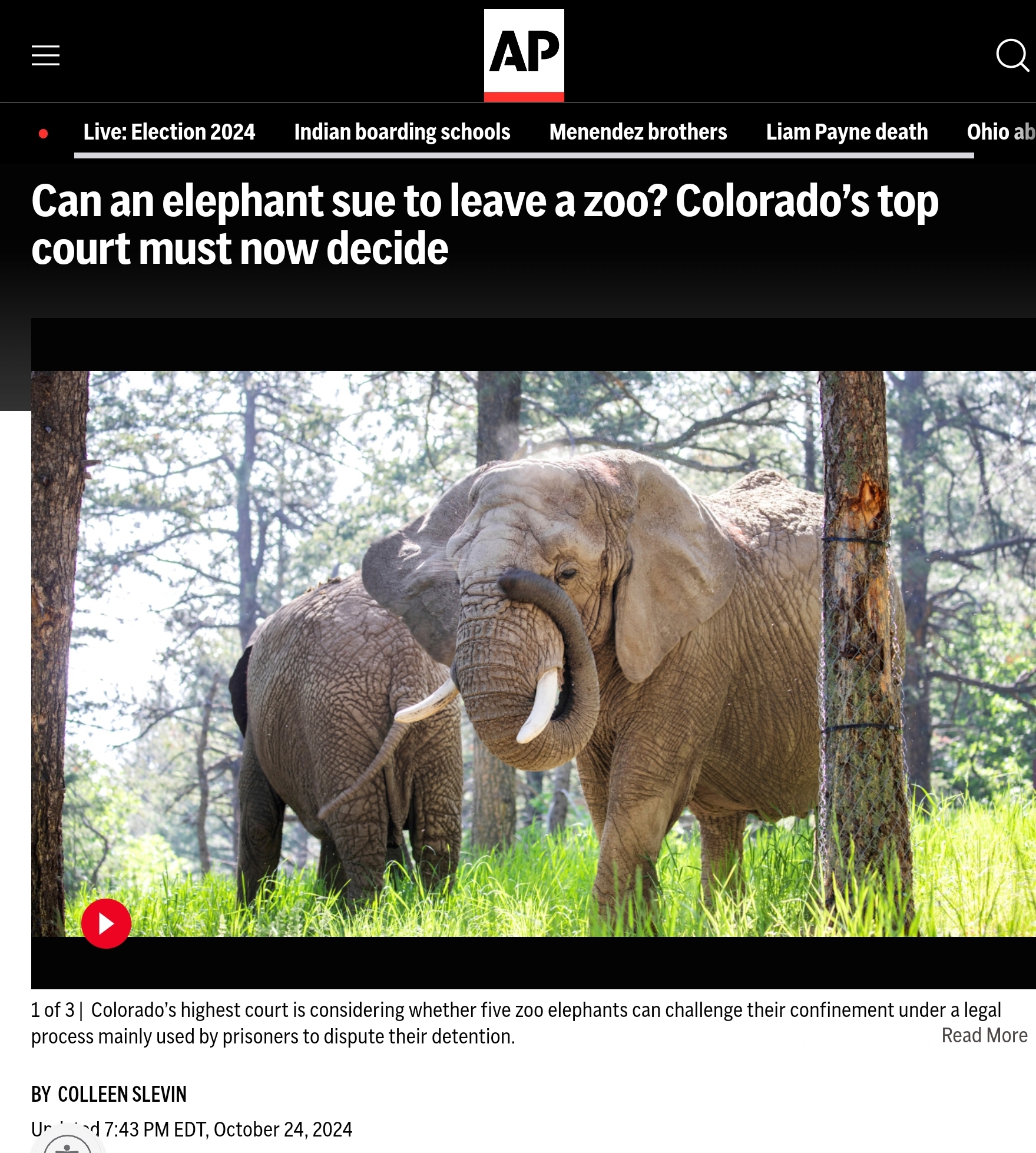 Can an elephant sue to leave a zoo? Colorado’s top court must now ...