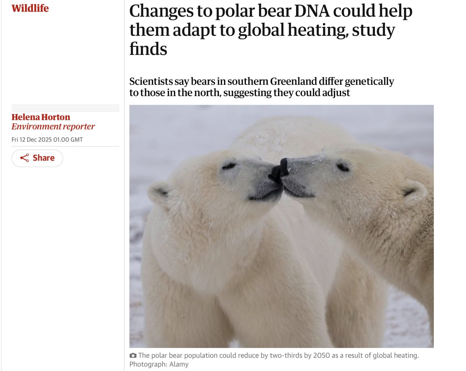 Changes to polar bear DNA could help them adapt to global warming ...